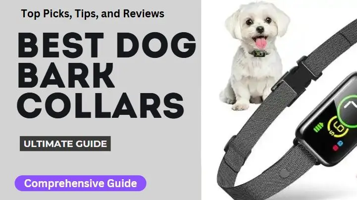 Ultimate Guide to Find The Best Dog Bark Collars: Top Picks