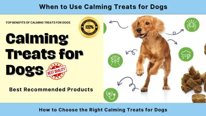 Calming Treats for Dogs: All You Need To Know